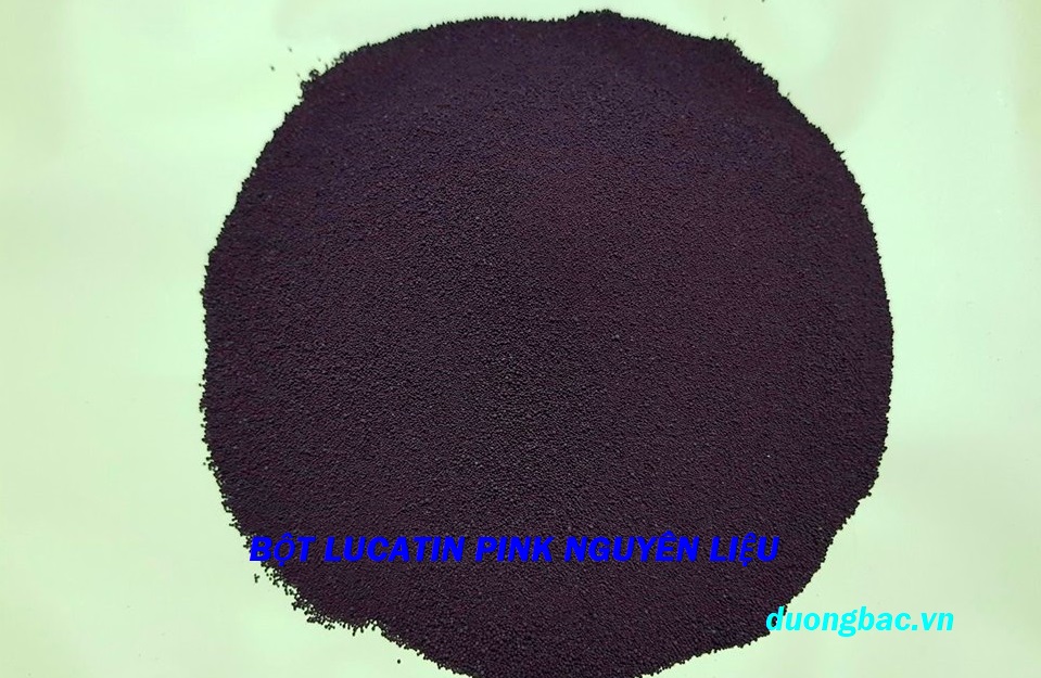 LUCATIN PINK-YELLOW ( ASTAXANTHIN ) – ~ Cá cảnh ~ DƯƠNG BẮC